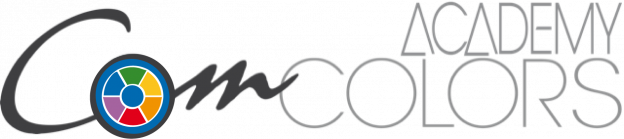 Entretien de découverte de votre profil de personnalité ComColors ...